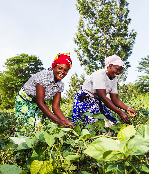 SenFresh – The pursuit of freshness