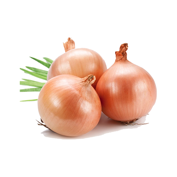 SenFresh – The pursuit of freshness