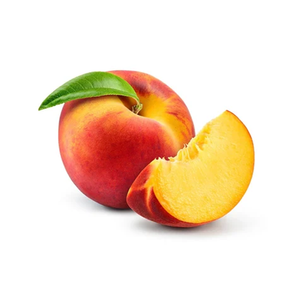 SenFresh – The pursuit of freshness