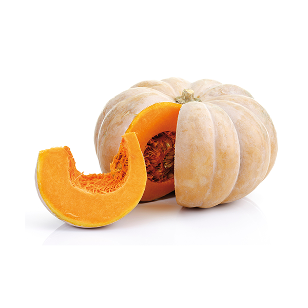 SenFresh – The pursuit of freshness