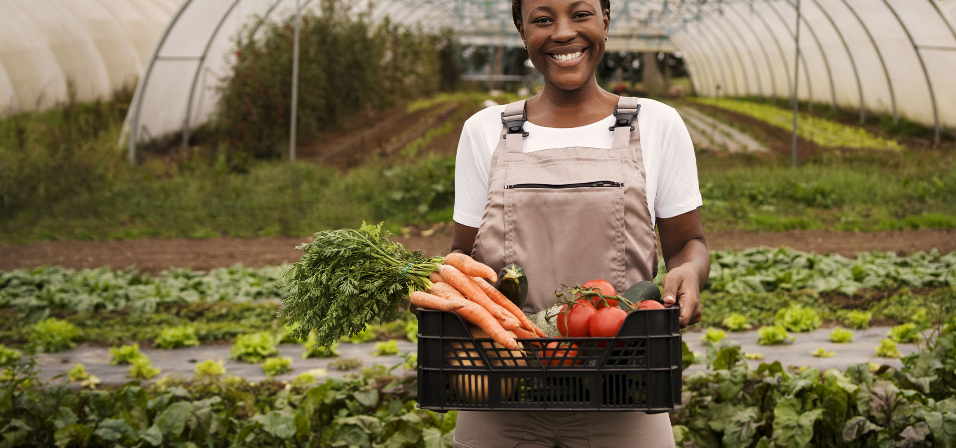 SenFresh – The pursuit of freshness